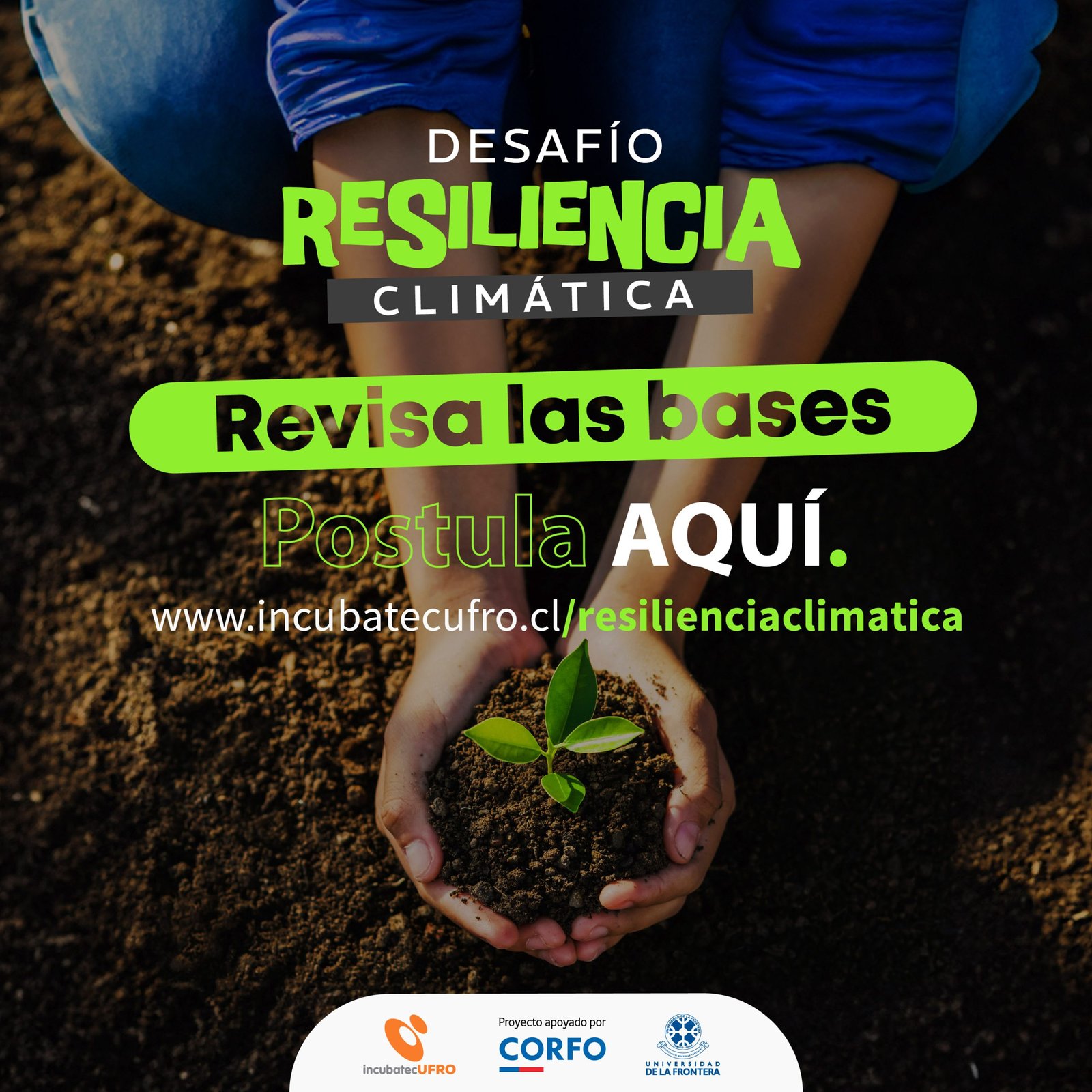 Landing Resiliencia Climática | IncubatecUFRO